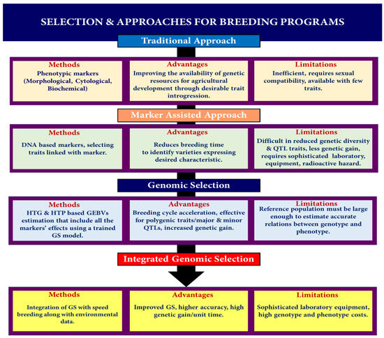 Integrated Genomic Selection for Accelerating Breeding Programs of ...