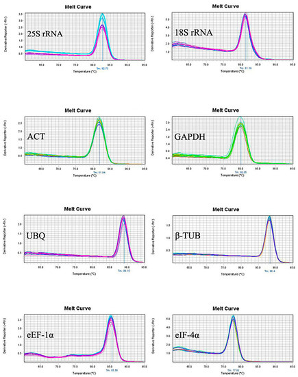 Selection and Evaluation of Reference Genes for RT-qPCR Analysis in Amorphophallus Konjac Based ...