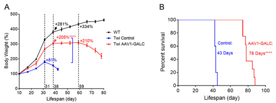 Brain Targeted AAV1-GALC Gene Therapy Reduces Psychosine and Extends ...