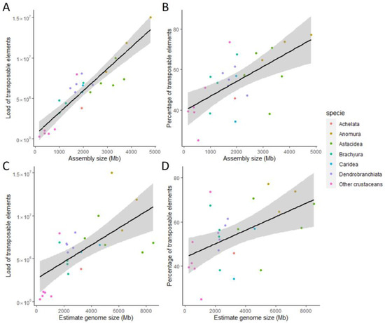 Abundance and Diversification of Repetitive Elements in Decapoda Genomes