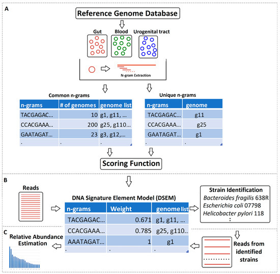 StrainIQ: A Novel n-Gram-Based Method for Taxonomic Profiling of Human Microbiota at the Strain ...