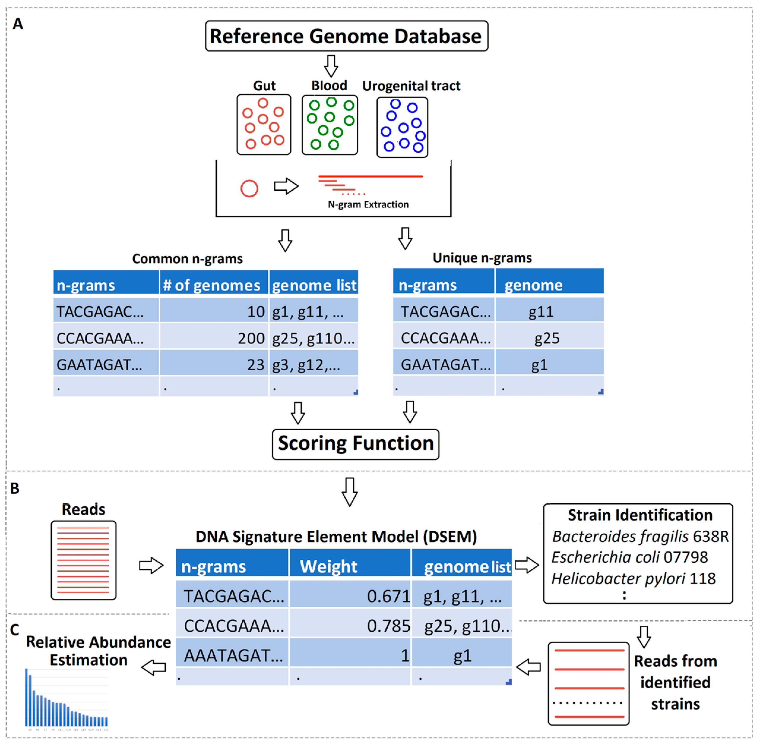 StrainIQ: A Novel n-Gram-Based Method for Taxonomic Profiling of Human Microbiota at the Strain ...