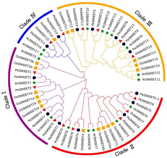 Genome-Wide Identification and Expression Profiling Analysis of SWEET ...
