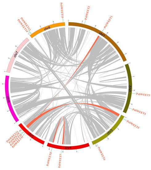 Genome-Wide Identification and Expression Profiling Analysis of SWEET ...