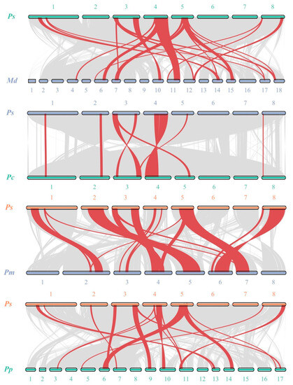 Genome-Wide Identification and Expression Profiling Analysis of SWEET ...