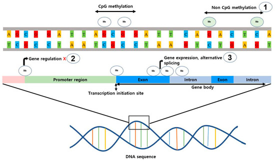 Epigenetic Modulations for Prevention of Infectious Diseases in Shrimp ...