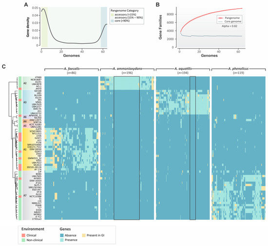 Comparative Genomics Reveals Novel Species and Insights into the ...