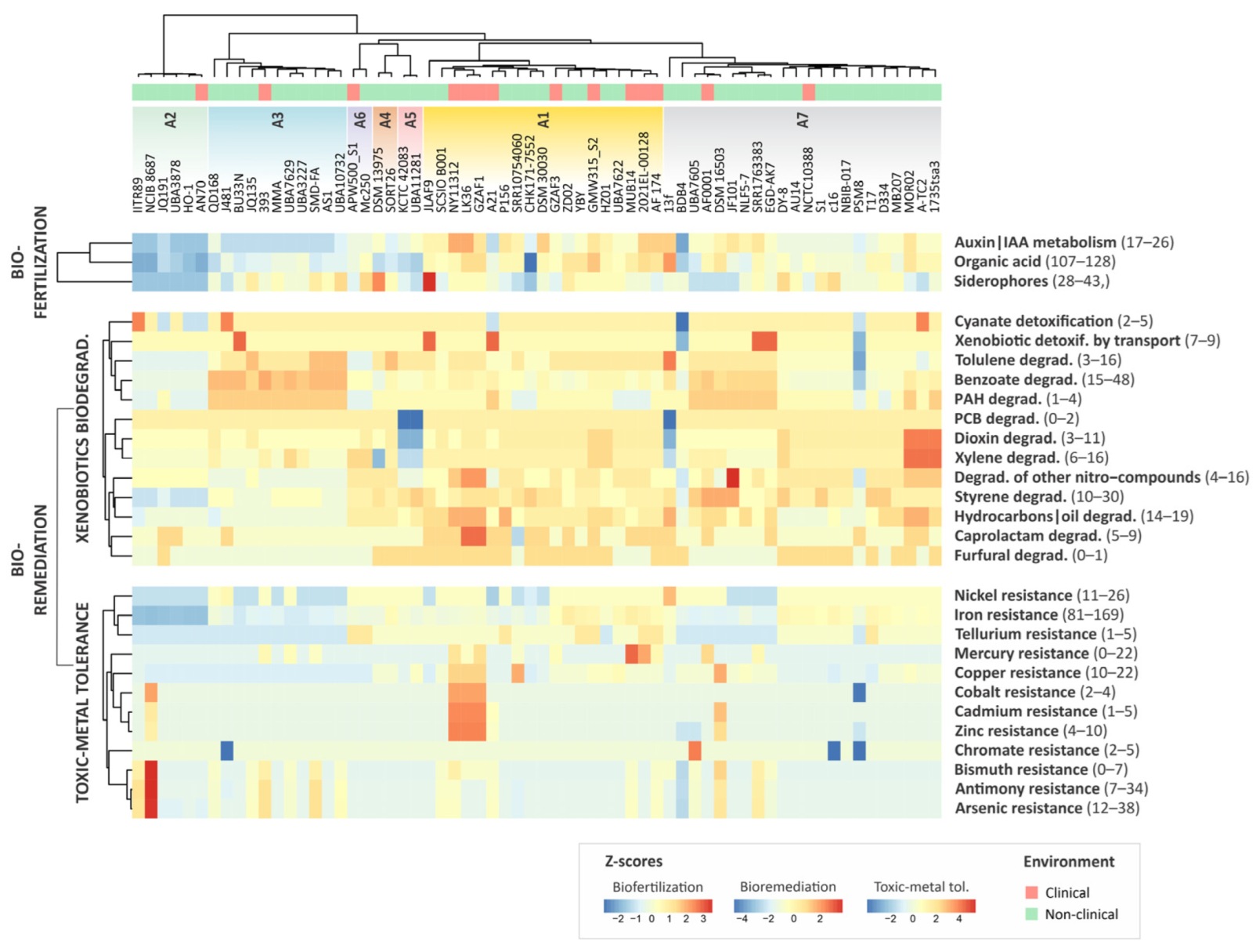Comparative Genomics Reveals Novel Species and Insights into the ...