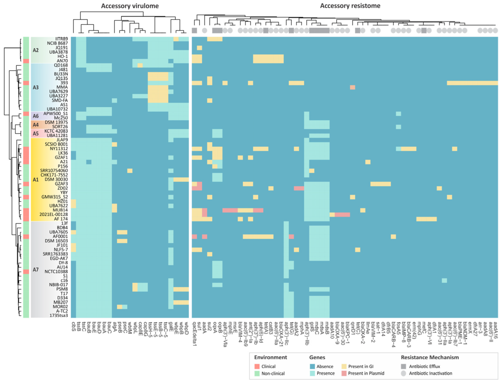 Comparative Genomics Reveals Novel Species and Insights into the ...