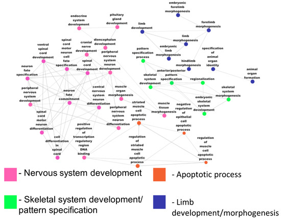 Investigating Neuron Degeneration in Huntington’s Disease Using RNA-Seq ...