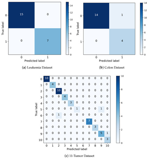 Cancer Classification Utilizing Voting Classifier with Ensemble Feature Selection Method and ...