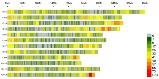 Association Mapping of Candidate Genes Associated with Iron and Zinc ...