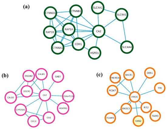 Genes | Free Full-Text | Unlocking the Potential of the CA2, CA7, and ...
