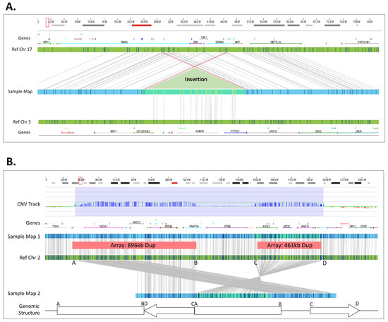 Comparative Benchmarking of Optical Genome Mapping and Chromosomal ...