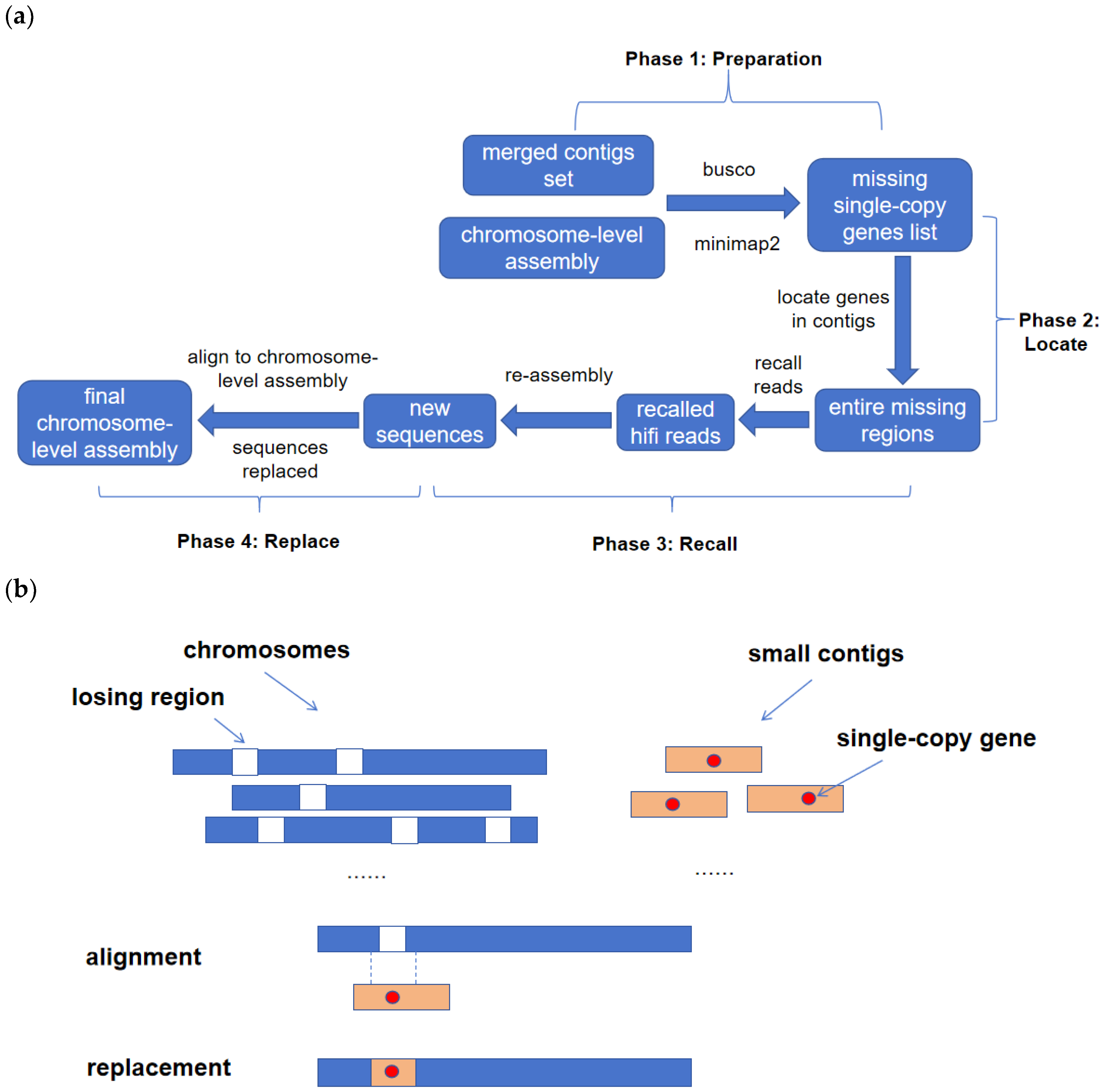 Improving the Completeness of Chromosome-Level Assembly by Recalling ...