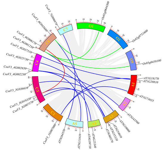 Genome-Wide Identification and Expression Analysis of the Cucumber FKBP ...