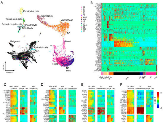 Identification of Niche-Specific Gene Signatures between Malignant ...
