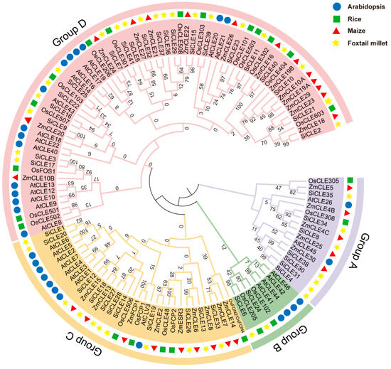 Genome-Wide Identification and Characterization of CLAVATA3/EMBRYO ...