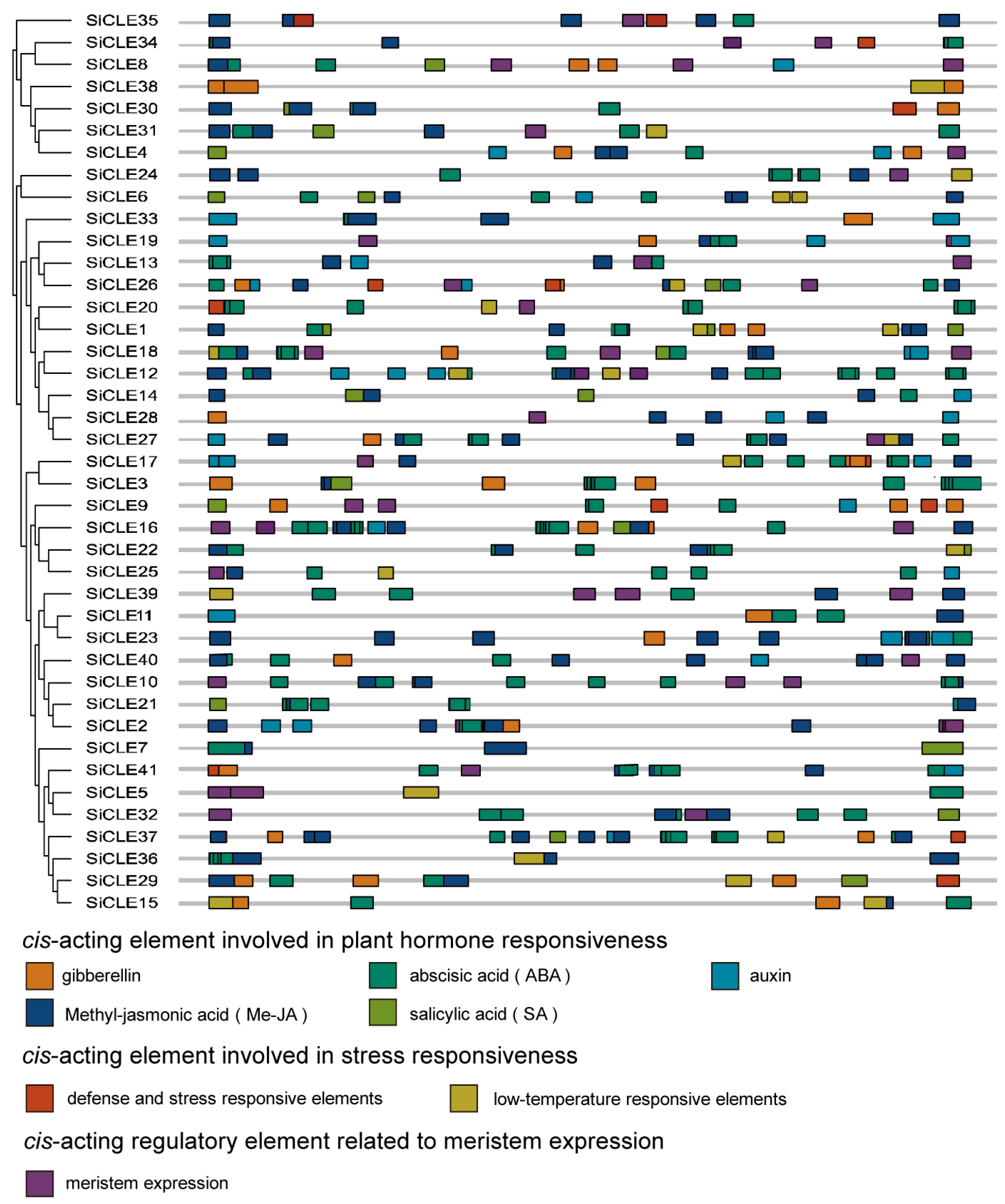Genome-Wide Identification and Characterization of CLAVATA3/EMBRYO ...