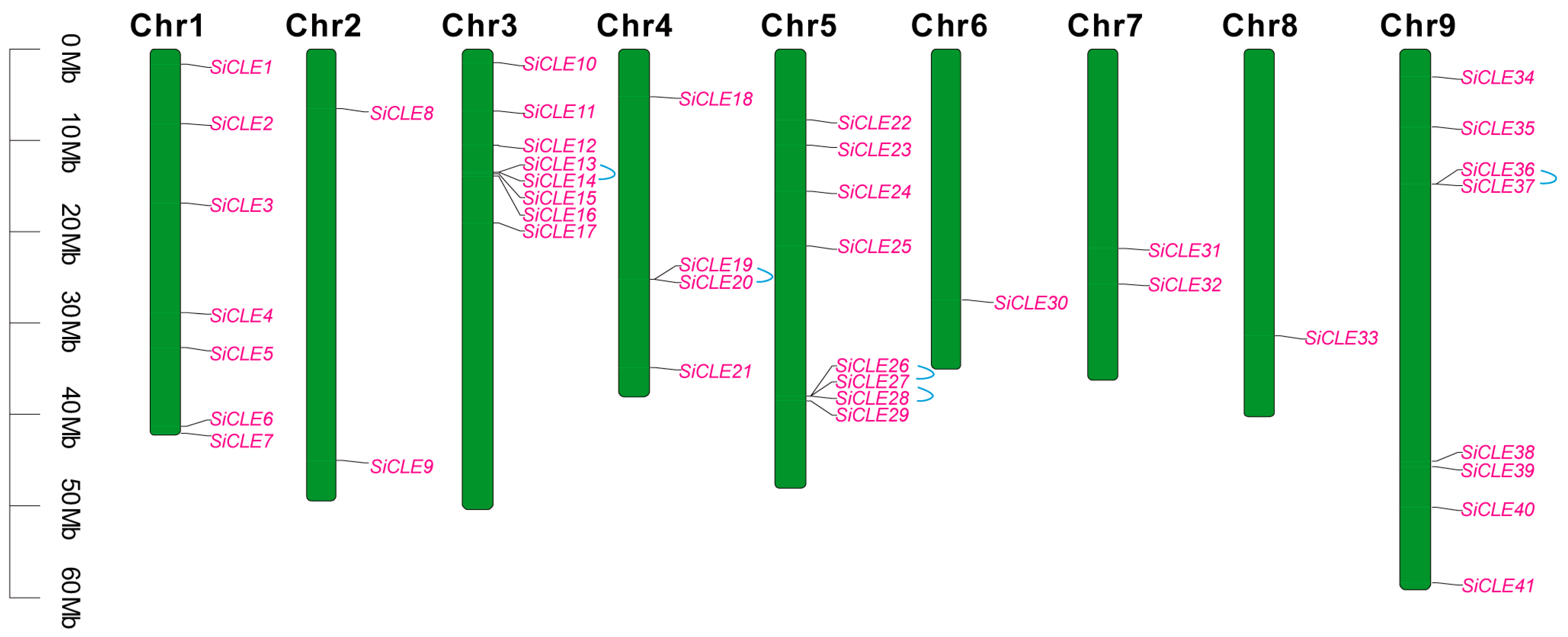 Genome-Wide Identification and Characterization of CLAVATA3/EMBRYO ...