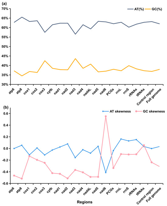 Evolution of the Critically Endangered Green Sawfish Pristis zijsron ...