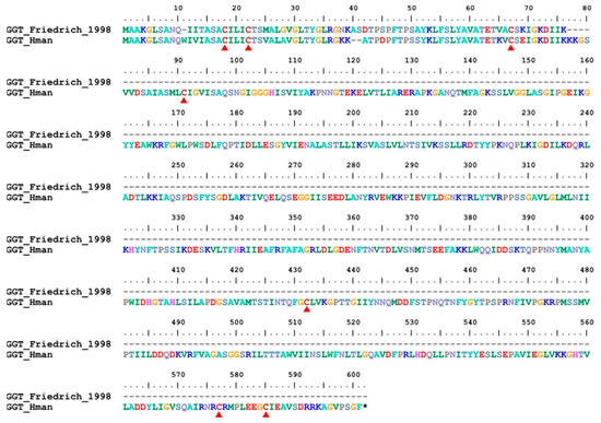 Revisiting the Asian Buffalo Leech (Hirudinaria manillensis) Genome ...