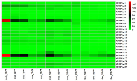 Genome-Wide Identification and Preliminary Functional Analysis of BAM ...