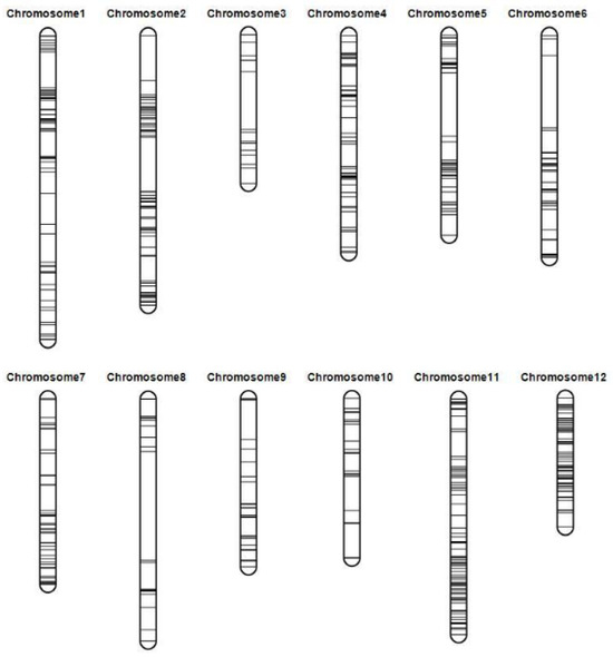 Unveiling the Genetic Basis Underlying Rice Anther Culturability via ...