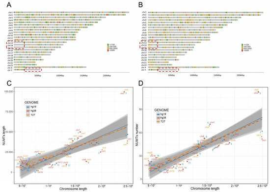 Comprehensive Identification of Mitochondrial Pseudogenes (NUMTs) in ...