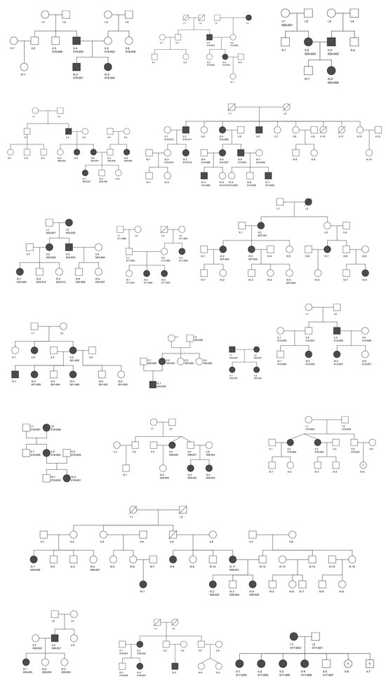 The Whole-Exome Sequencing of a Cohort of 19 Families with Adolescent ...