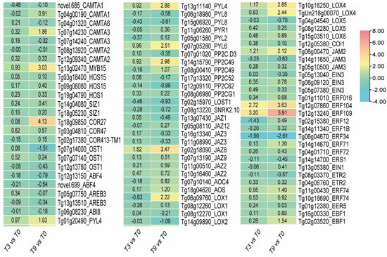 Transcriptomic Analysis Reveals CBF-Dependent and CBF-Independent ...