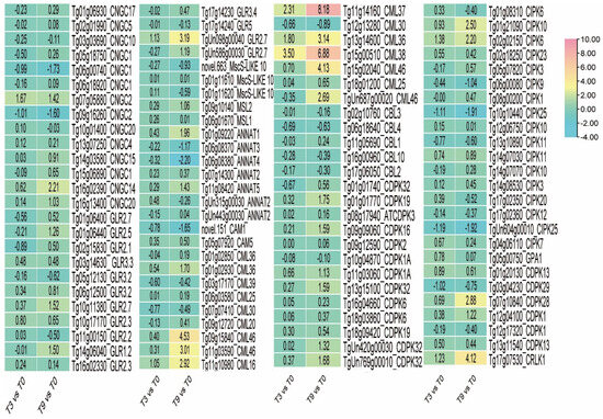 Transcriptomic Analysis Reveals CBF-Dependent and CBF-Independent ...