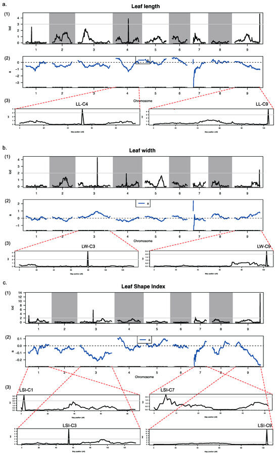 Construction and Application of an F1-Derived Doubled-Haploid ...