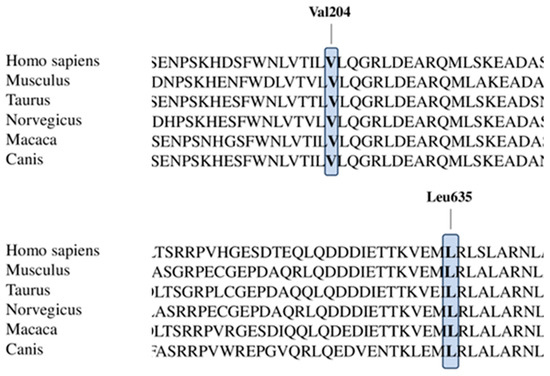 NUP85 as a Neurodevelopmental Gene: From Podocyte to Neuron