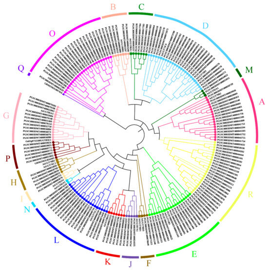 Genome-Wide Analysis of Family-1 UDP-Glycosyltransferases in Potato ...