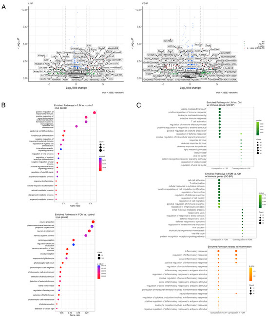 RNA-Sequencing Analysis Reveals the Role of Mitochondrial Energy ...