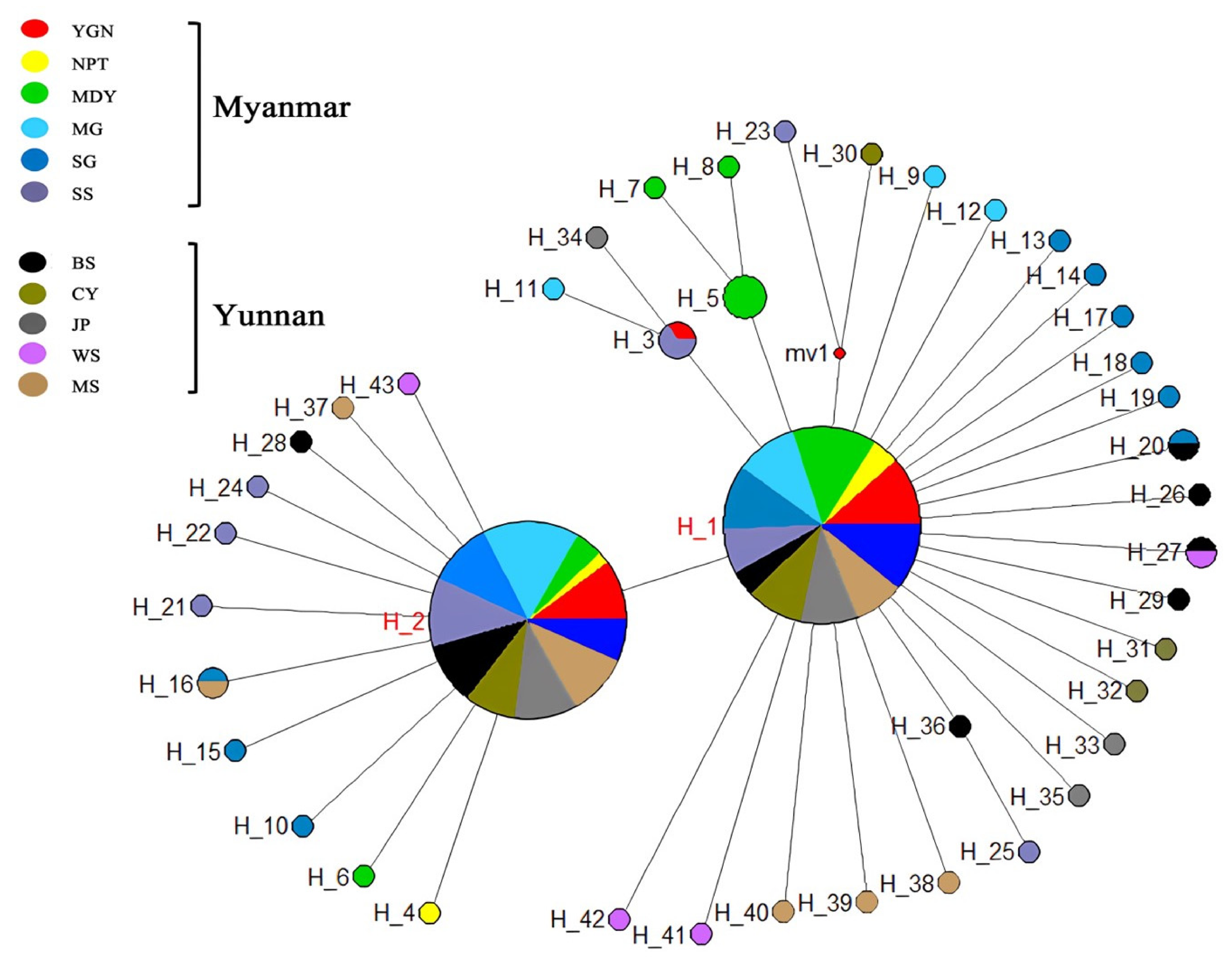 The Genetic Diversity of White-Backed Planthoppers (Sogatella furcifera ...