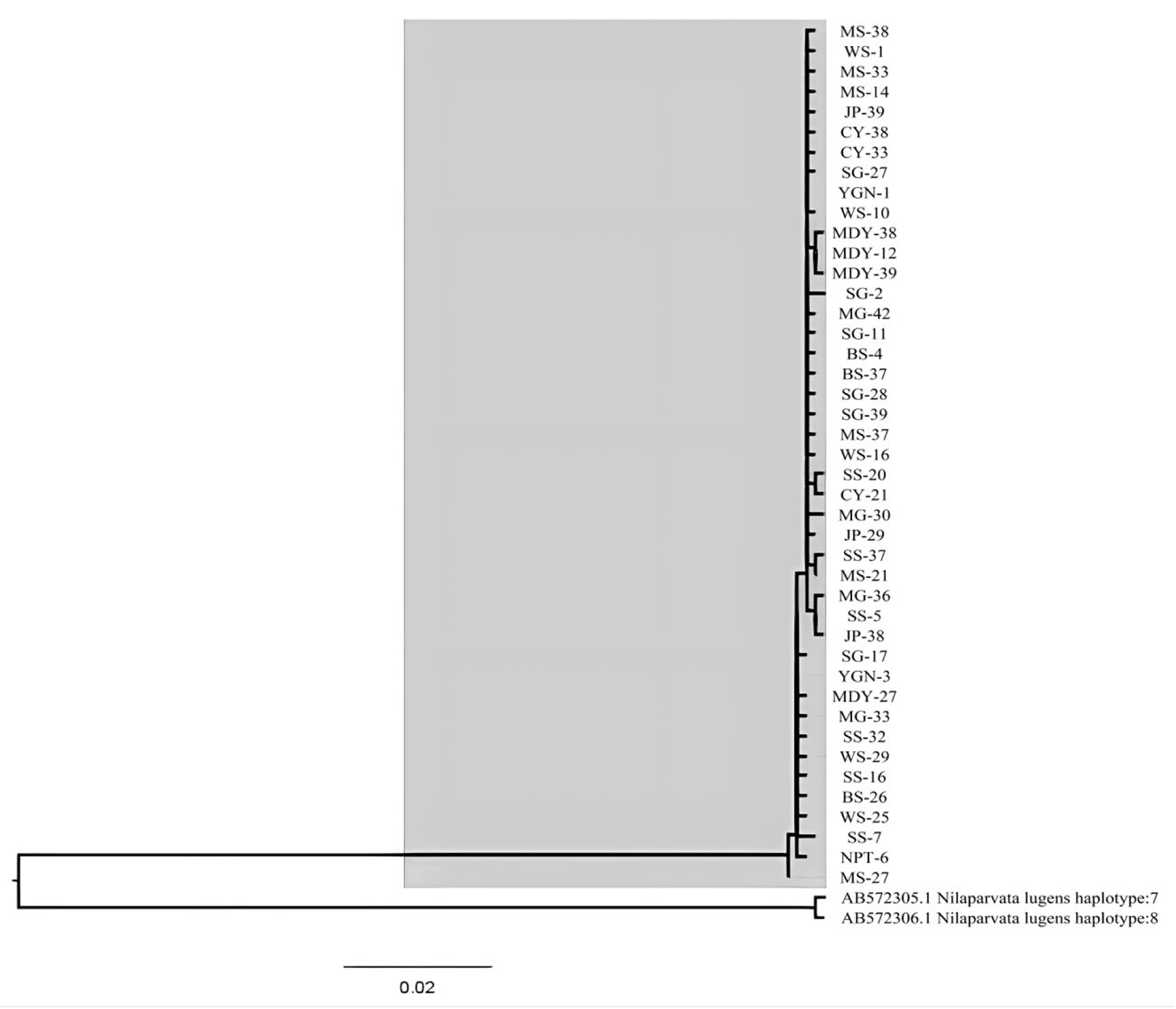 The Genetic Diversity of White-Backed Planthoppers (Sogatella furcifera ...