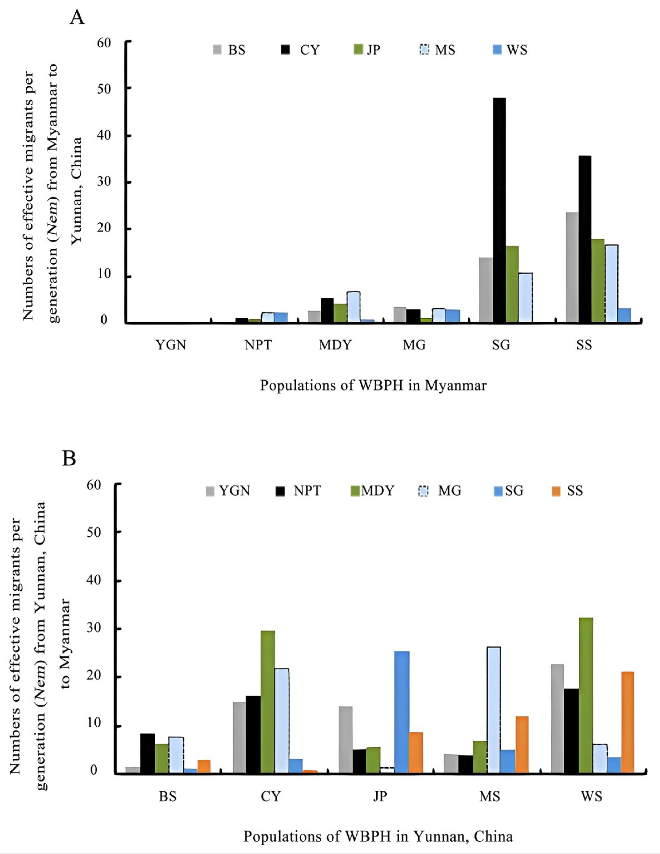 The Genetic Diversity of White-Backed Planthoppers (Sogatella furcifera ...