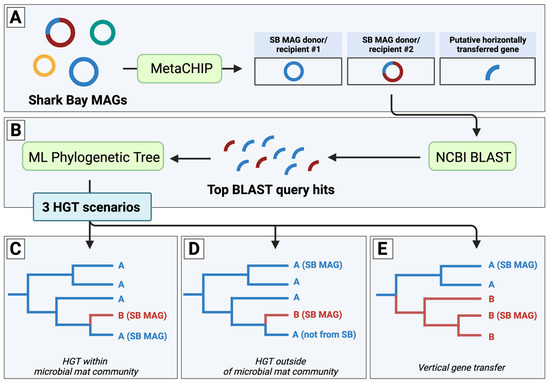 Assessing the Influence of HGT on the Evolution of Stress Responses in ...