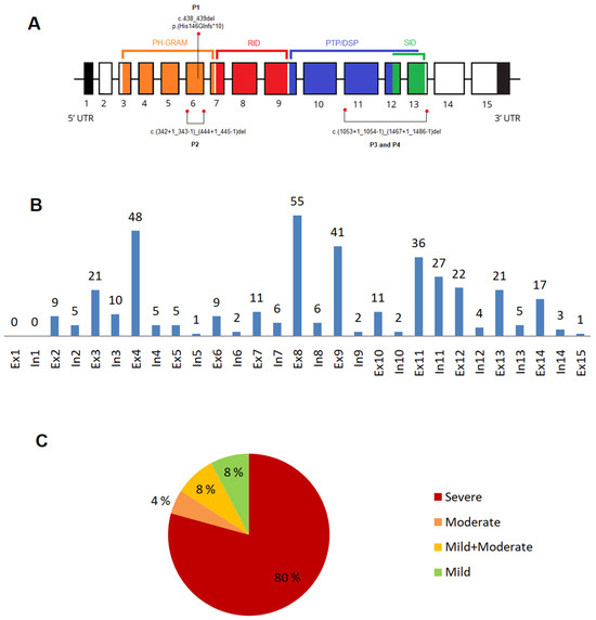 Prognostic Value of Genotype–Phenotype Correlations in X-Linked ...