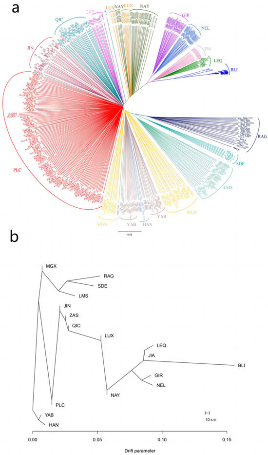 Genetic Origin and Introgression Pattern of Pingliang Red Cattle ...