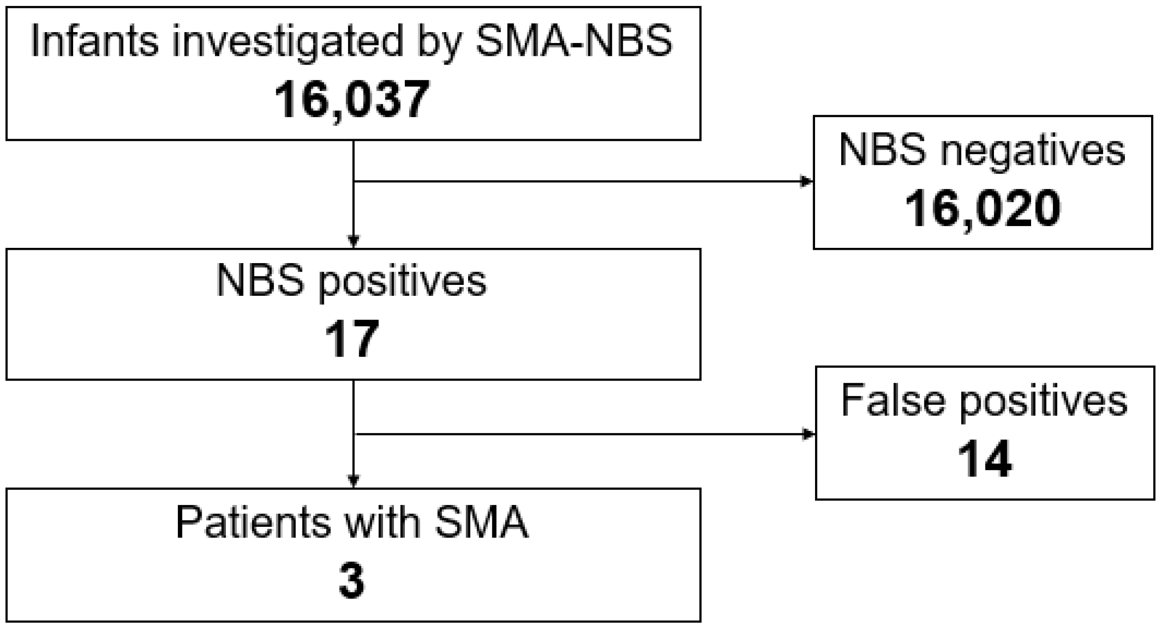 Newborn Screening for Spinal Muscular Atrophy: A 2.5-Year Experience in ...