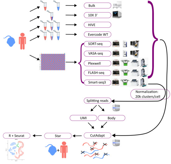 Comparison of Single Cell Transcriptome Sequencing Methods: Of Mice and Men