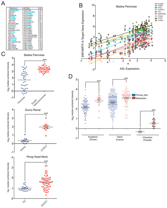 Gas6-Axl Signaling Induces SRF/MRTF-A Gene Transcription via MICAL2