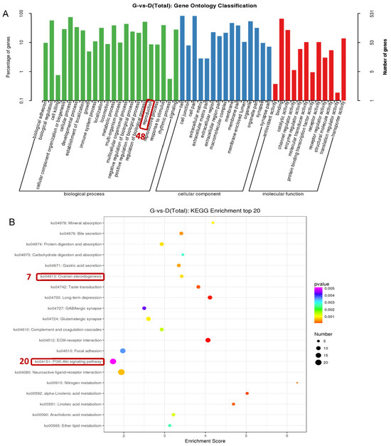 Whole-Transcriptome Sequencing of Ovary Reveals the ceRNA Regulation ...