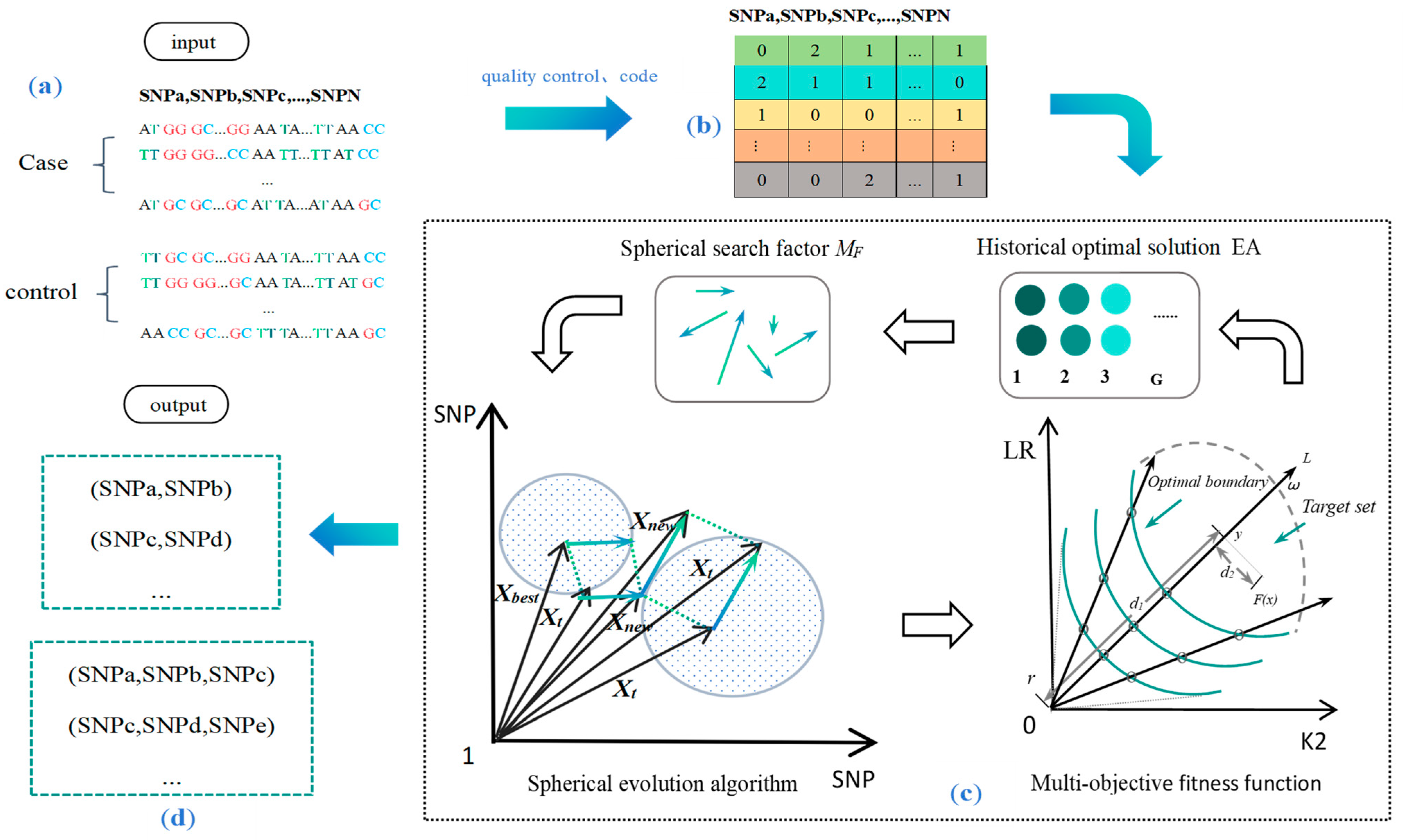 The Spherical Evolutionary Multi-Objective (SEMO) Algorithm for Identifying Disease Multi-Locus ...