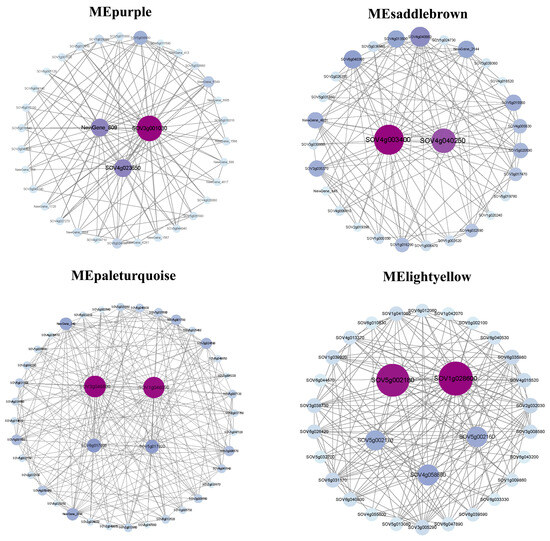 Comparative Transcriptome Analysis of Gene Expression and Regulatory ...