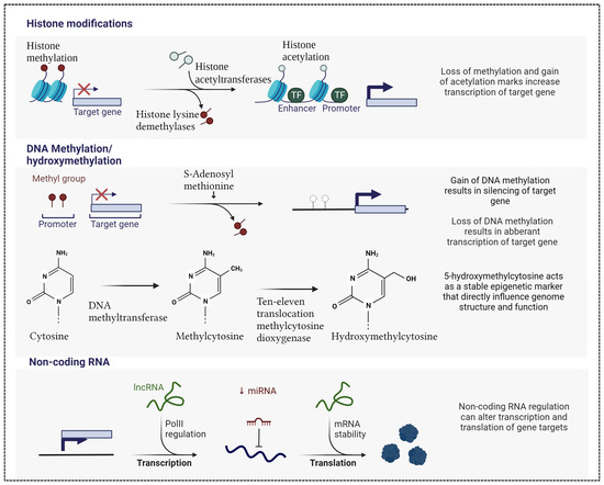 Unraveling the Epigenetic Tapestry: Decoding the Impact of Epigenetic ...