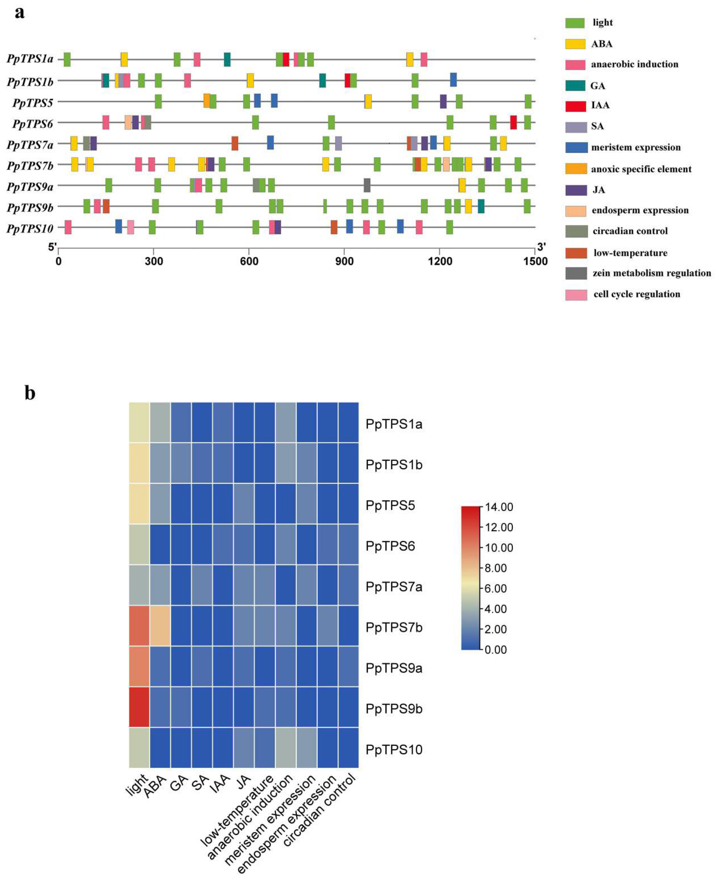 Genome-Wide Identification of Trehalose-6-phosphate Synthase (TPS) Gene ...